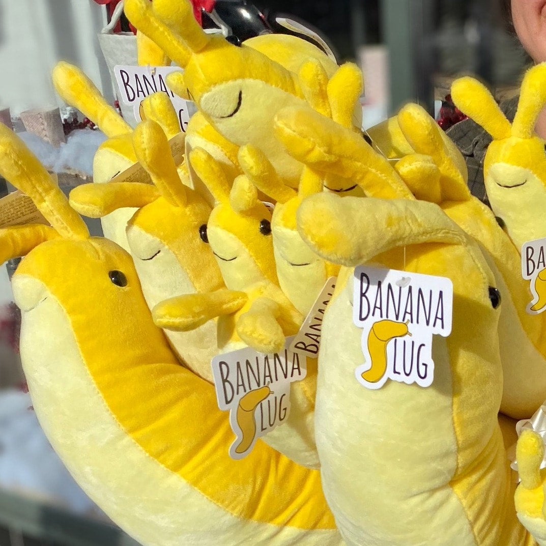 Plush Slug Toy | Humboldt Outfitters