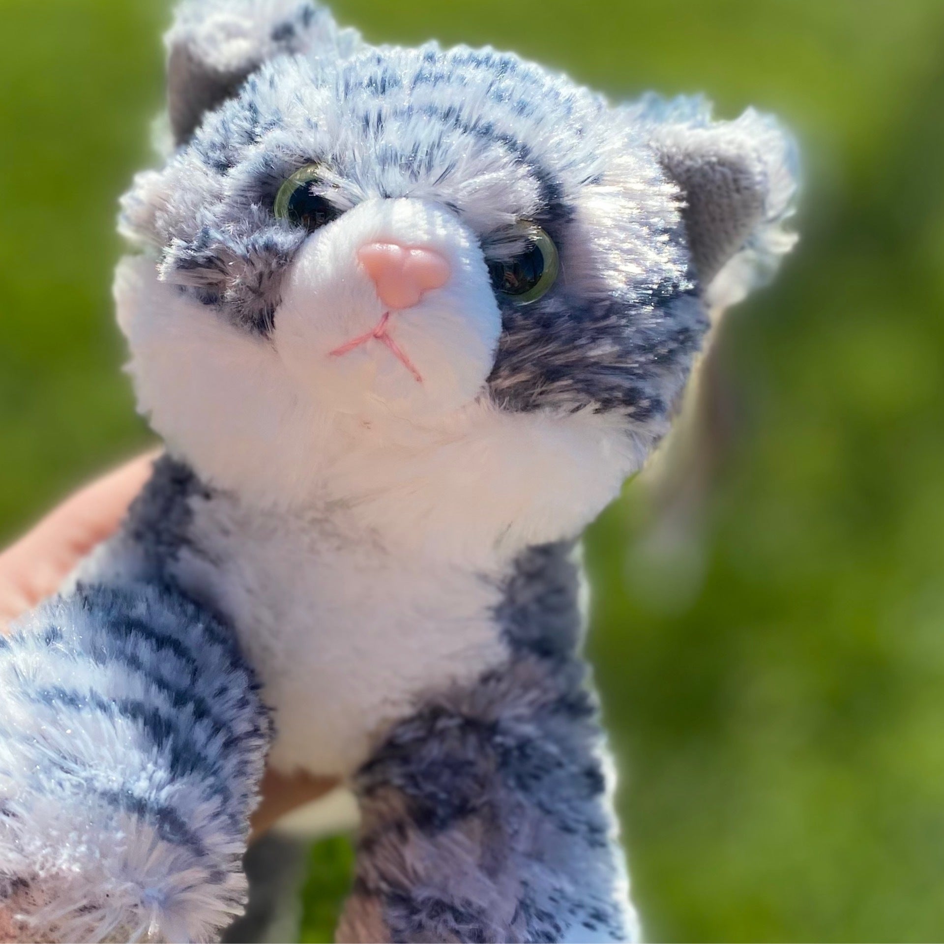 8” Lily Kitty Stuffed Animal | Humboldt Outfitters